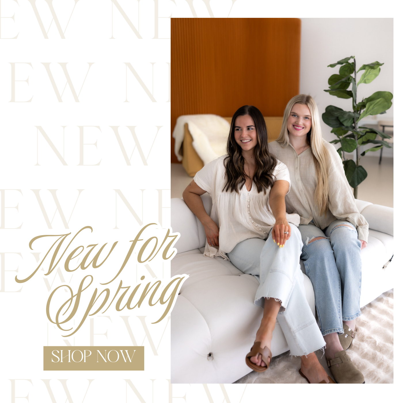 Women's Online Clothing Boutique | The Vault Clothing Co – The Vault ...